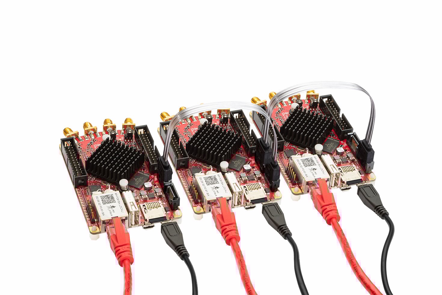 A Guide to Red Pitaya's 10th Anniversary Sale